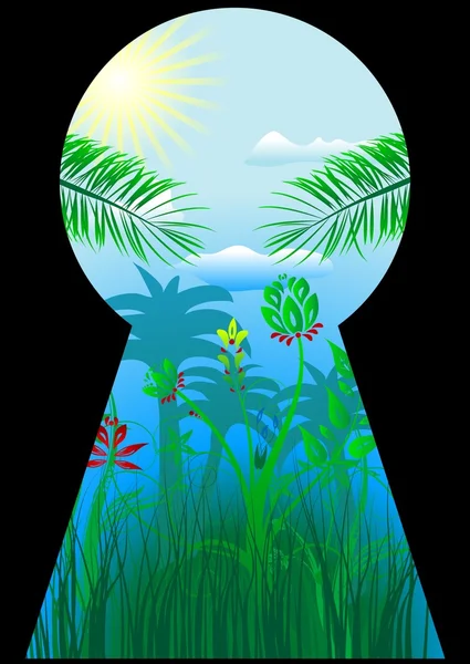 Jungle Stock Vector Image by ©sababa66 #33331037