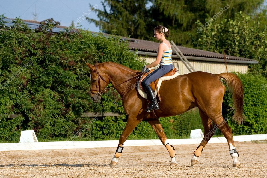 Young girl riding on chestnut horse — Stock Photo © Alexia #1548716
