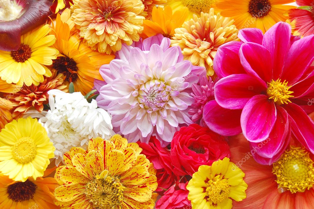 Multi colored flowers pattern background — Stock Photo © voronin-76 ...