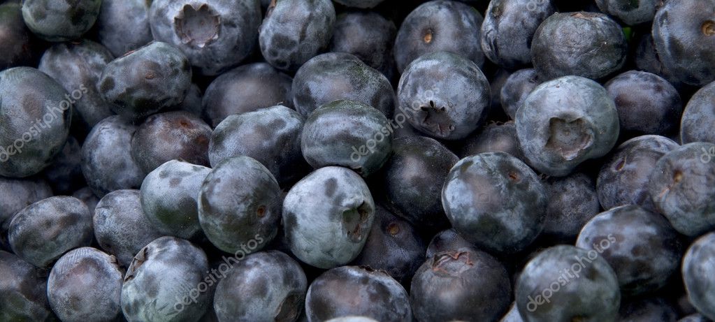 Blueberry Background Stock Photo by ©brookefuller 2124395