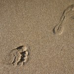 Free Stock photo of Single human footprint on the sand | Photoeverywhere