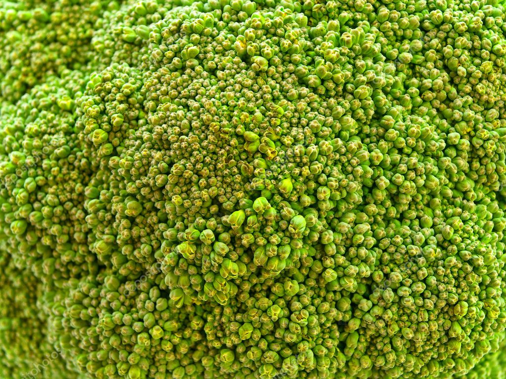 Broccoli background Stock Photo by ©S_Razvodovskij 1498995