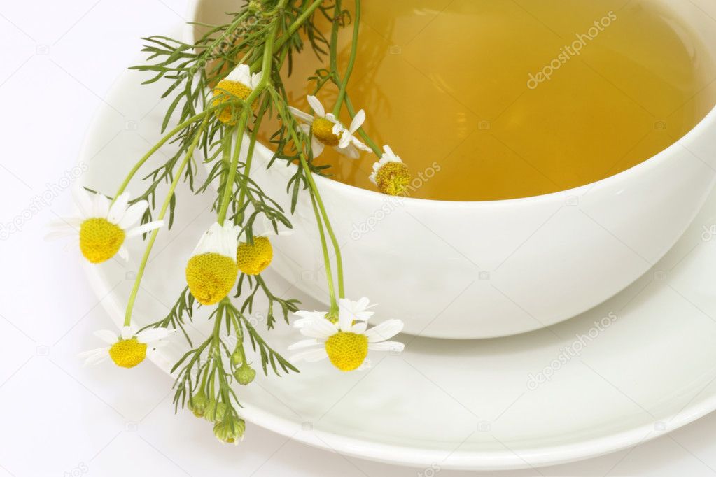 Camomile tea — Stock Photo © Colour #1563903 Camomile tea — Stock Photo © Colour #1563903