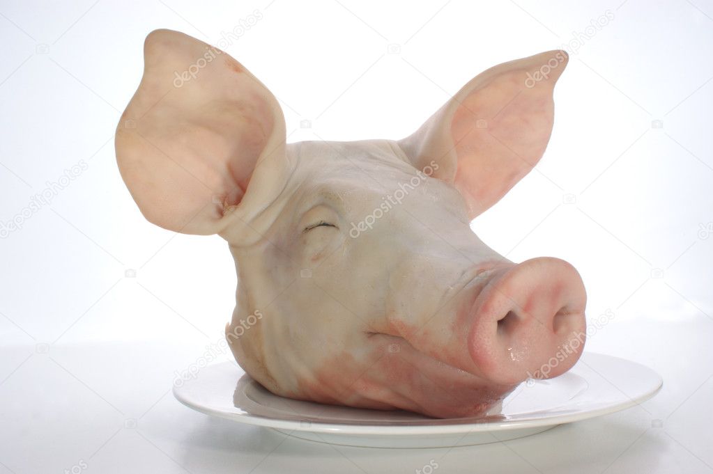 Pig's head on a plate — Stock Photo © Szakaly #1615297