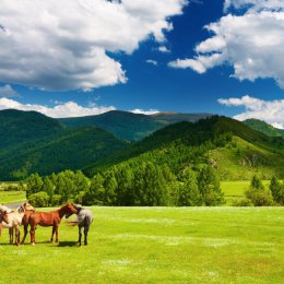 Western ranch Stock Photos, Royalty Free Western ranch Images ...