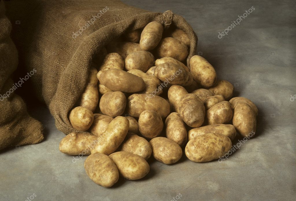 Spilled burlap sack of potatoes — Stock Photo © Balefire9 #1645754