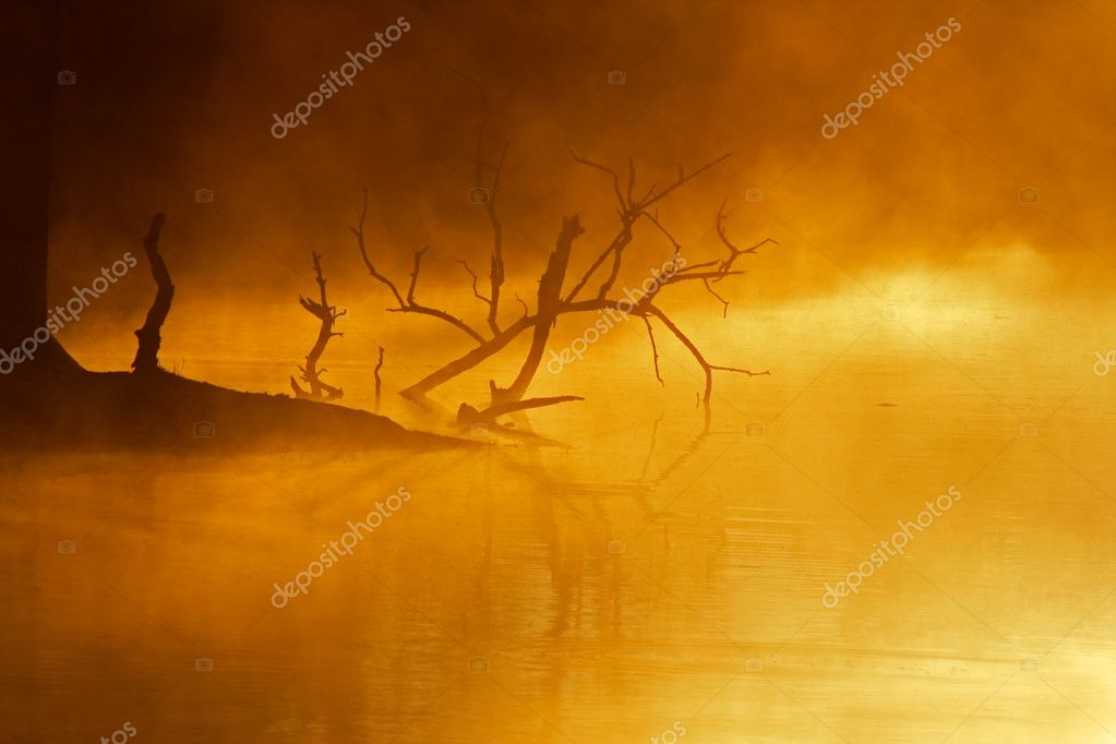 Mist over water — Stock Photo © EcoPic #1995653