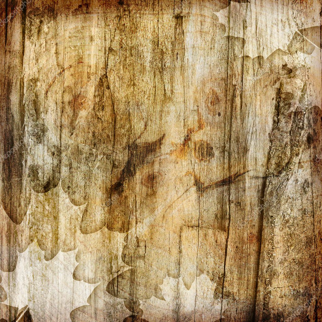 Old wood texture Stock Photo by ©rosinka 1767186