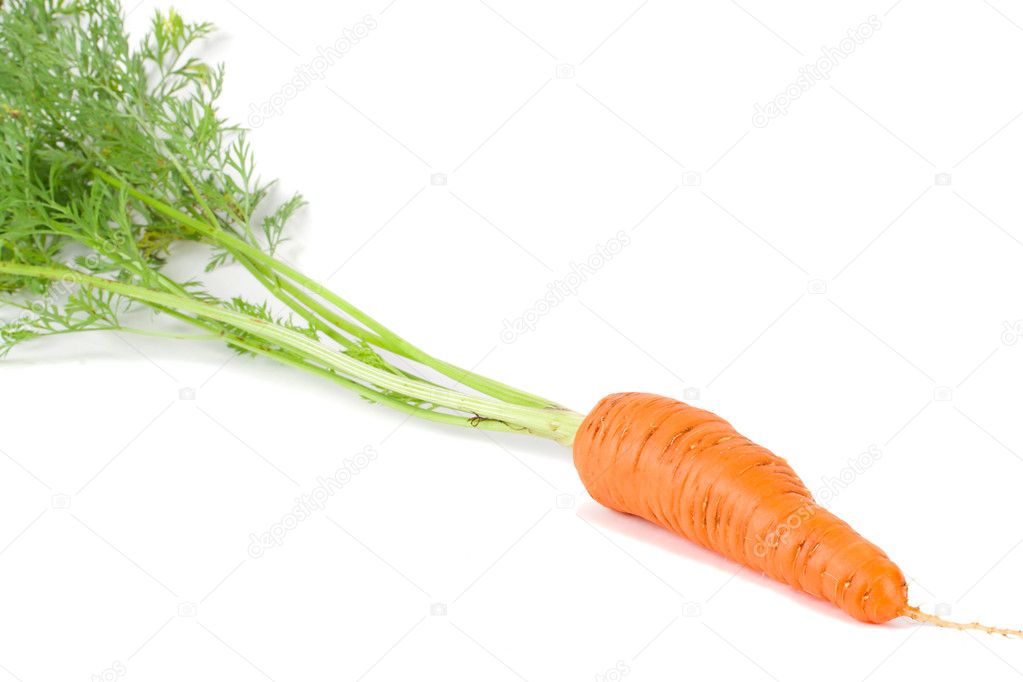 Single carrot Stock Photo by ©Alekcey 1729099