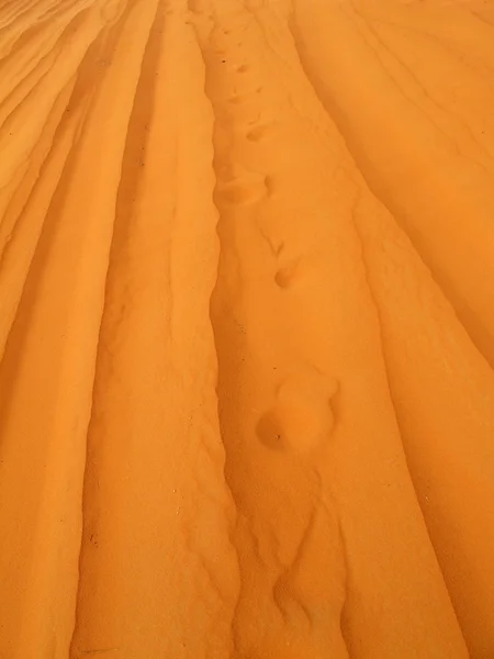 Ligne au maroc afrique Stock Photos, Royalty Free Ligne au maroc ...