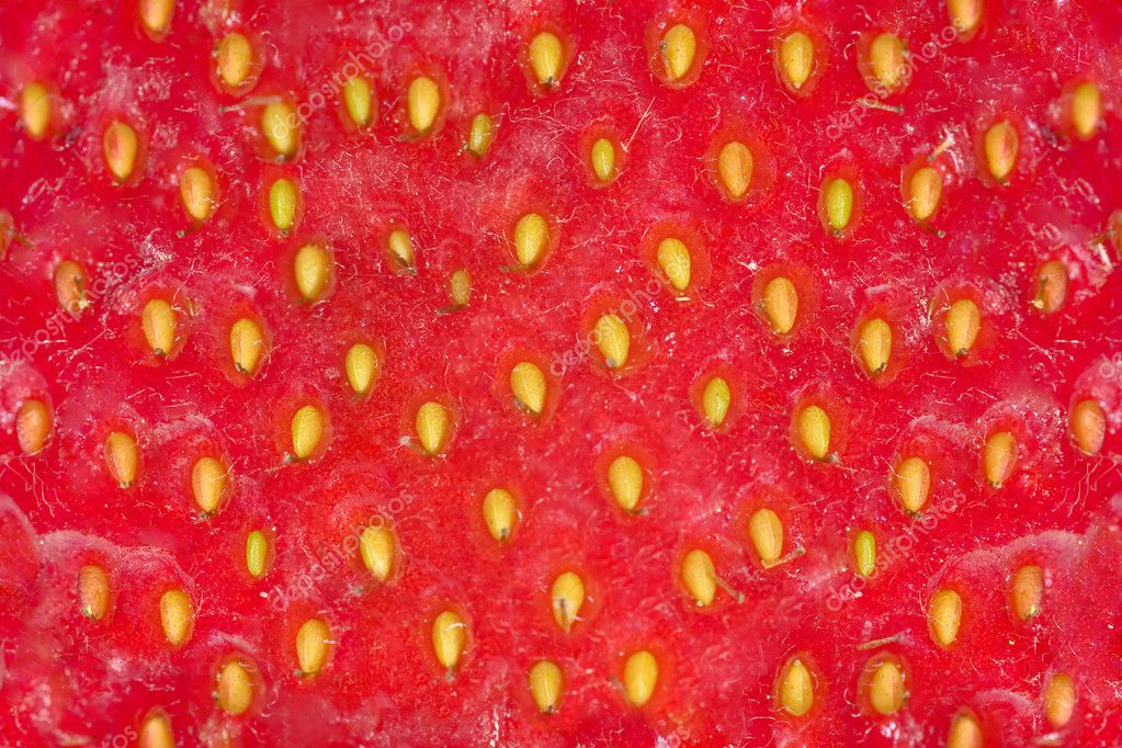 Strawberry texture — Stock Photo © Dr.PAS #1722079