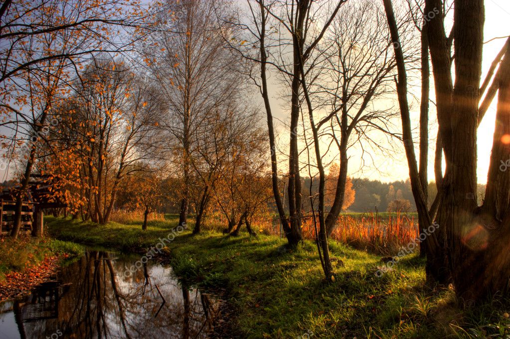 amanecer en el río 2025
