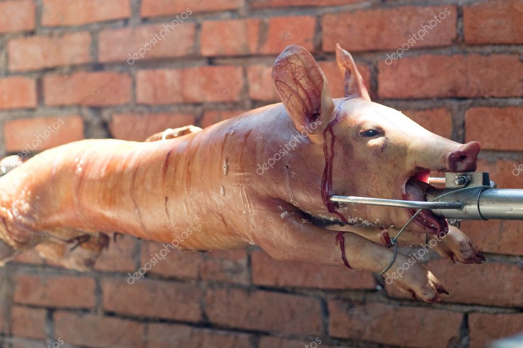 Roasting pig — Stock Photo © 007filip #1794609