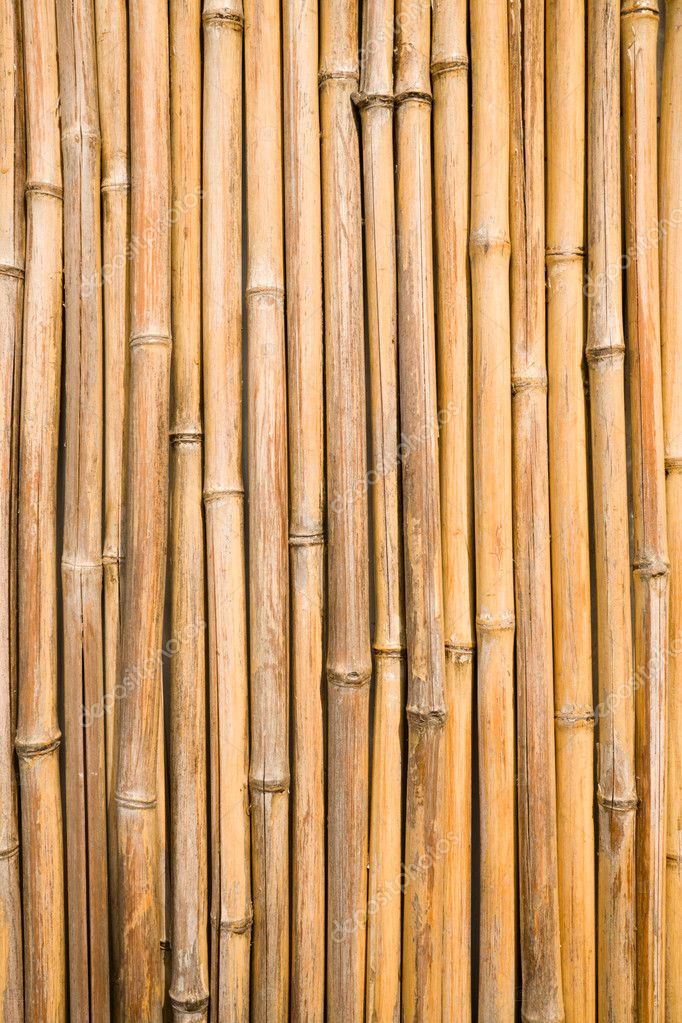 Bamboo wall Stock Photo by ©Stas_K 1801687