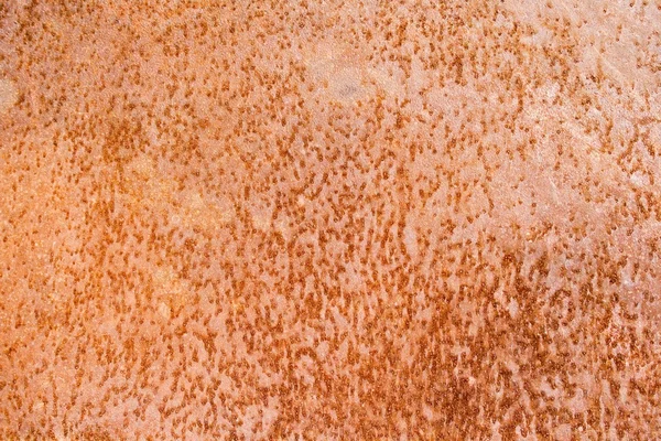 Ginger stain Stock Photos, Royalty Free Ginger stain Images | Depositphotos