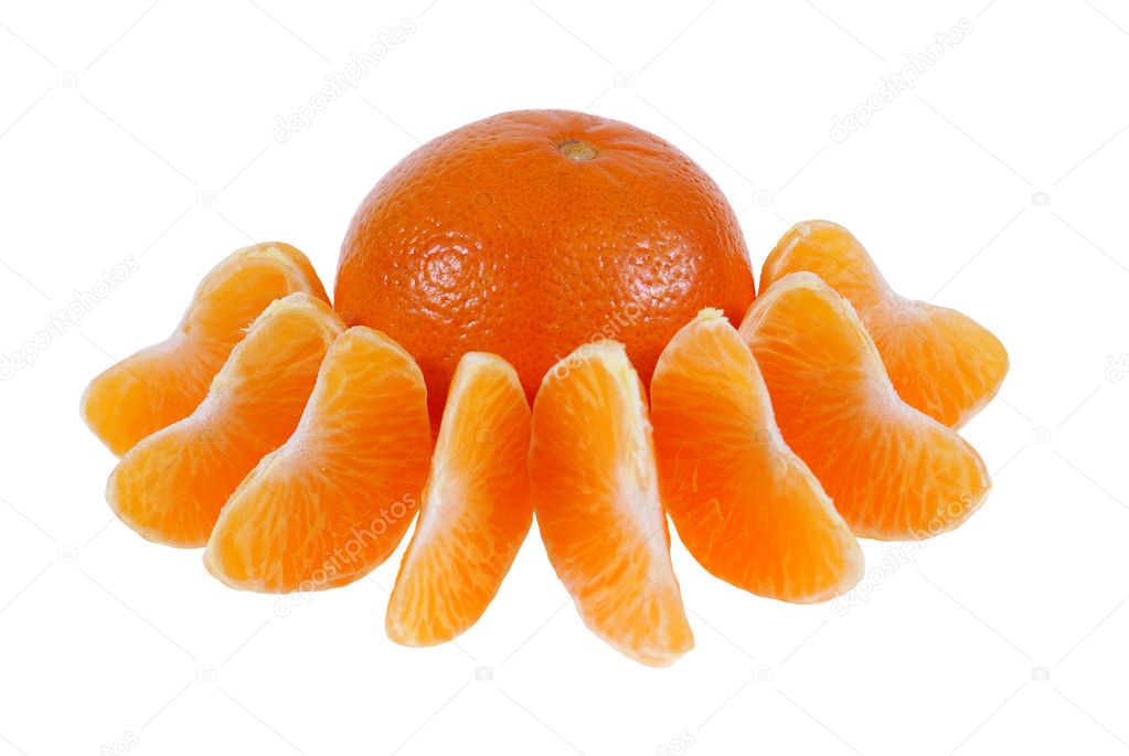 Mandarin Stock Photo by ©dabjola 1948139