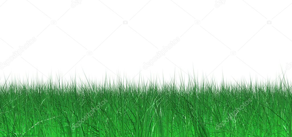 Green juicy grass Stock Photo by ©Serp77 1833363