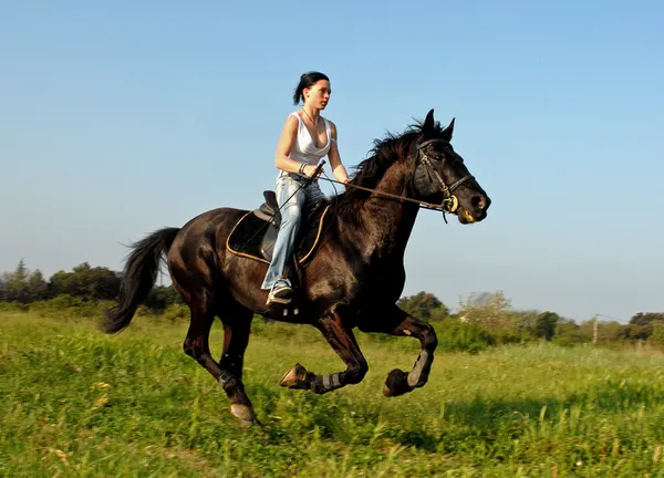 Horseback riding Stock Photos, Royalty Free Horseback riding Images ...