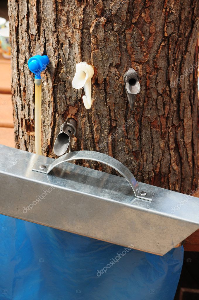 Different maple sap taps — Stock Photo © clheesen #1878568