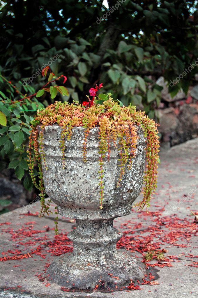 Pot Stock Photo by ©cristi180884 2019813