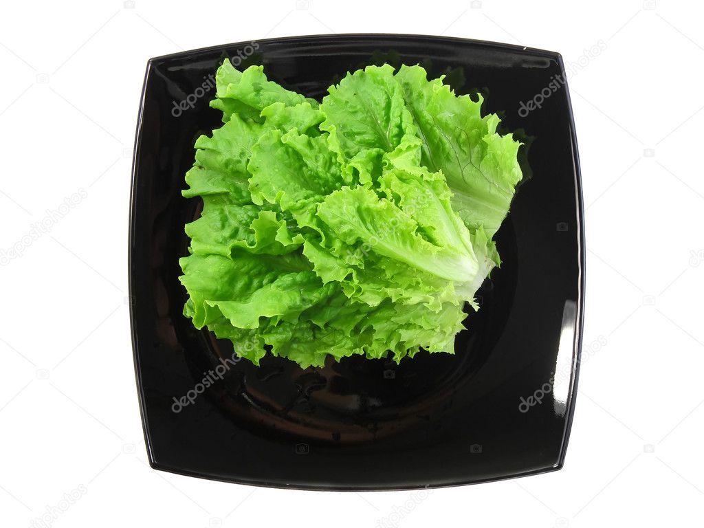Leaf of lettuce on black plate . Isolated over white — Stock Photo ...
