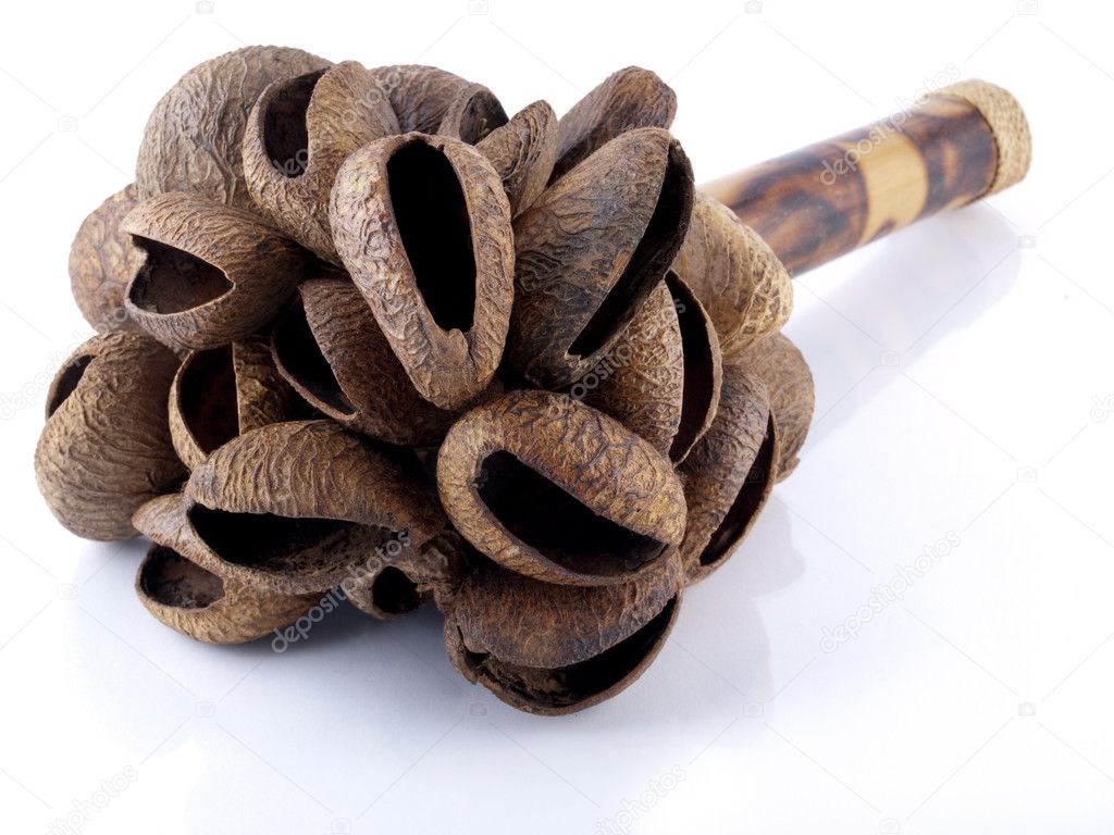 eskimo lifestyle on emaze