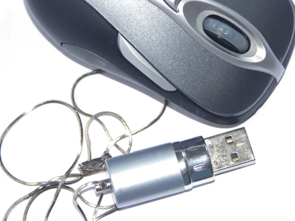 Mouse and flash 1 Stock Photo by ©soloir 1899476