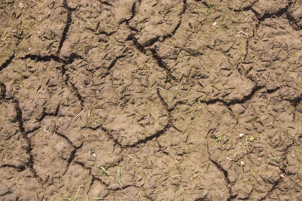 402 Peatland Stock Photos, Peatland Images | Depositphotos®