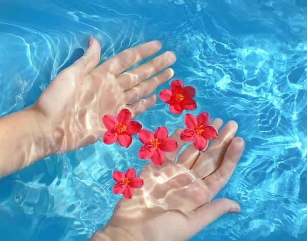 Hands water Stock Photos, Royalty Free Hands water Images | Depositphotos®