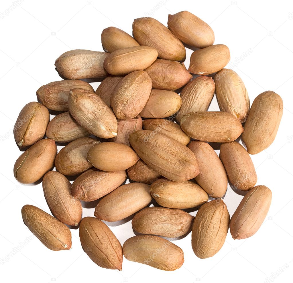 Peeled Raw Peanuts — Stock Photo © Brigida_Soriano #1949615