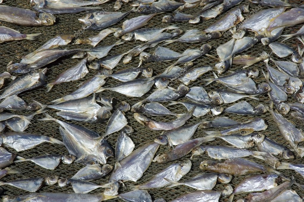 Salted fish — Stock Photo © yuliang11 #2522388