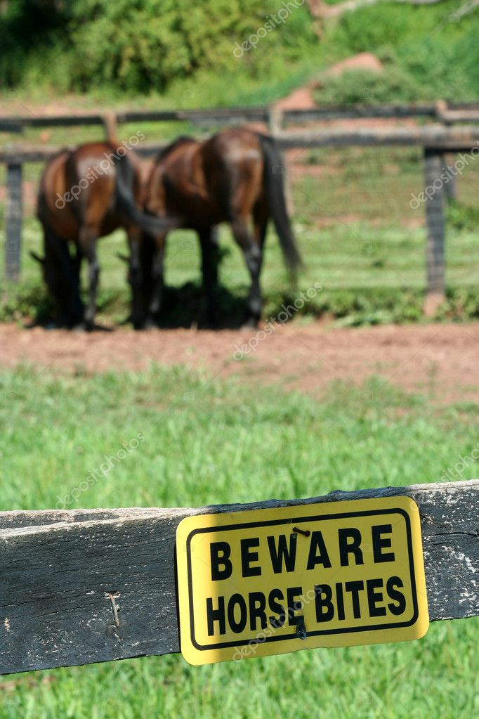 Beware horse bites sign Stock Photo by ©njnightsky 2040050 Beware horse bites sign Stock Photo by ©njnightsky 2040050