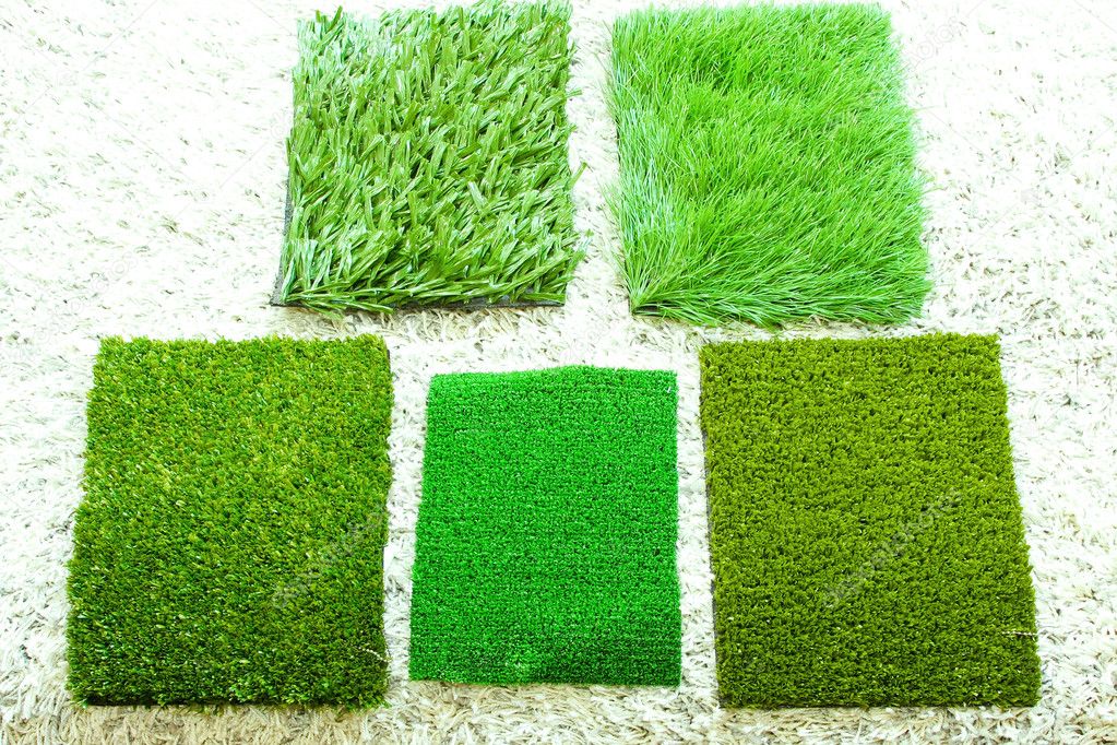 Grass samples — Stock Photo © Baloncici #2112501