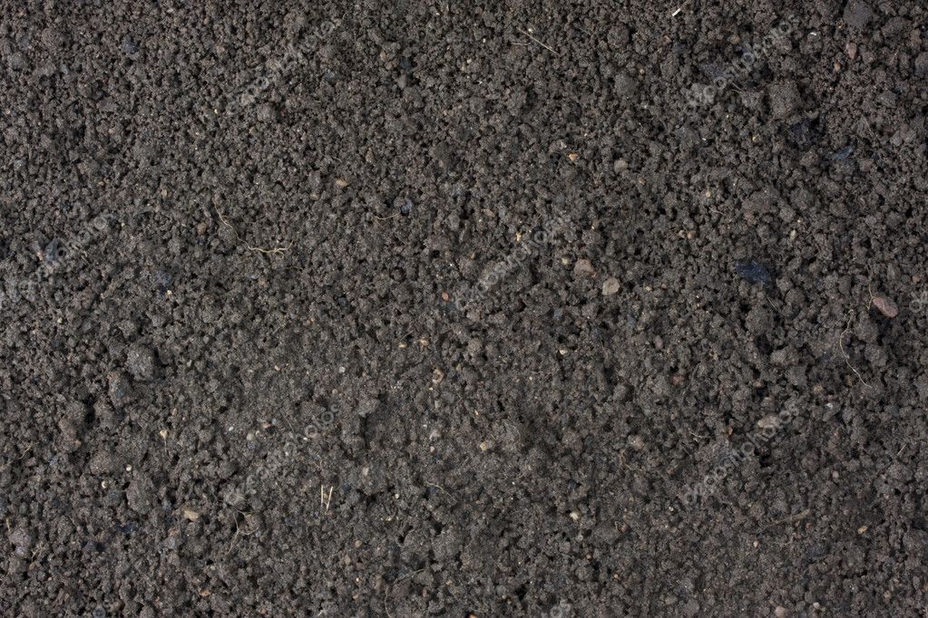 Garden moist top soil background Stock Photo by ©PixelsAway 2052145