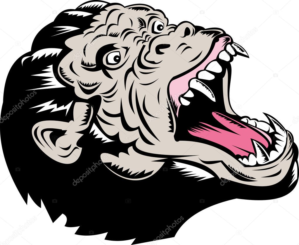 Picture: an angry ape | Angry ape or chimpanzee — Stock Photo ...