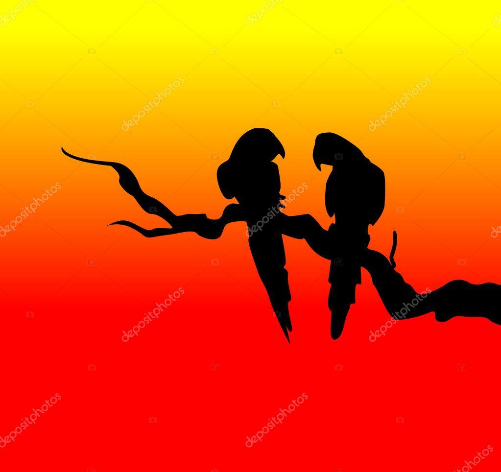 Two parrots Stock Vector Image by ©trolev #2398642