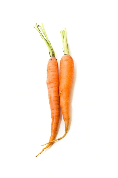 Two carrots Stock Photos, Royalty Free Two carrots Images | Depositphotos