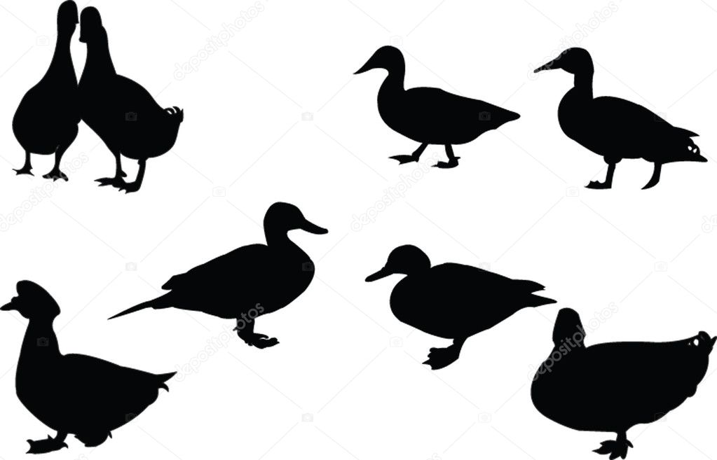 Ducks silhouette collection Stock Vector Image by ©vule46 #2170298