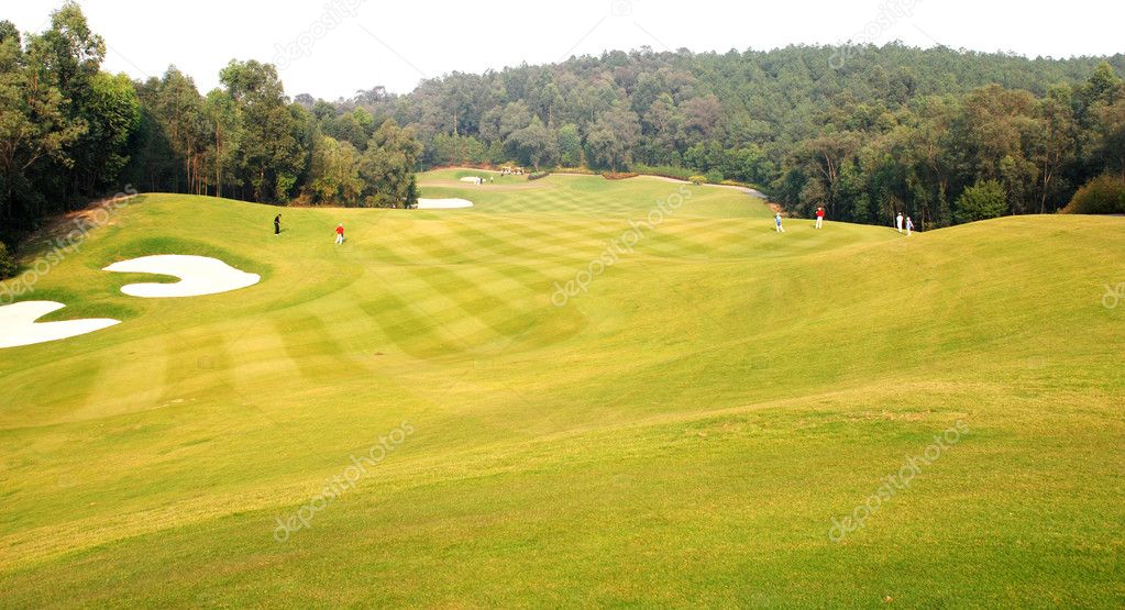 Perfect Green grass on a golf field — Stock Photo © donkeyru #2478636