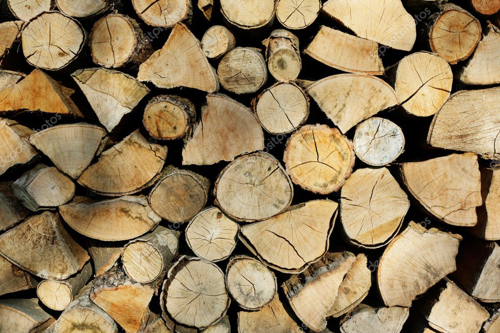 Stacked Wood logs — Stock Photo © _luSh_ #2387103