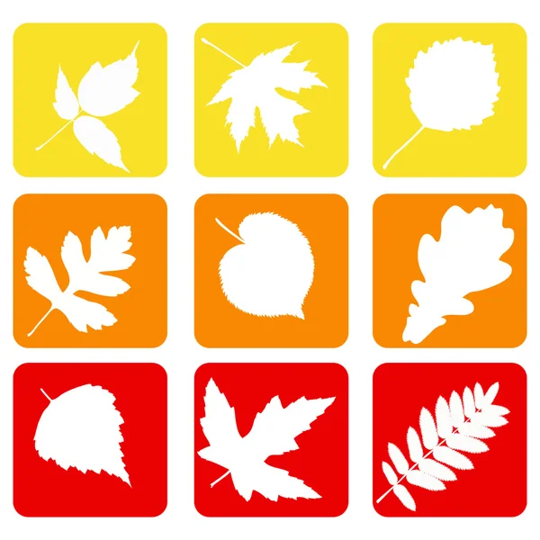 Set nature icons. — Stock Vector © M_A_R_G_O #2206597