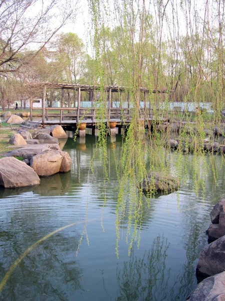 Nature park scenery in spring Stock Photo by ©ensiferum 2477330