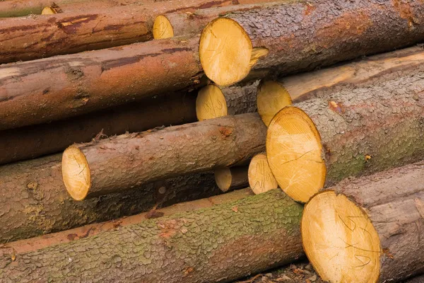 66,590 Logs Pictures, Logs Stock Photos & Images | Depositphotos®