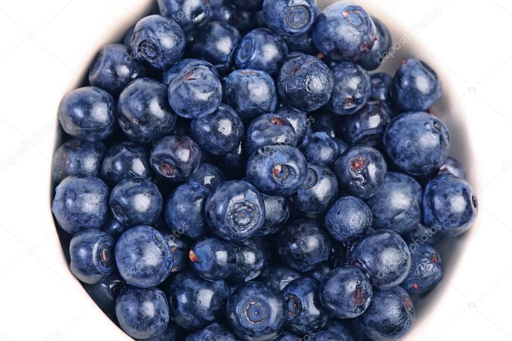 Many blueberrys — Stock Photo © gimbat #2151733