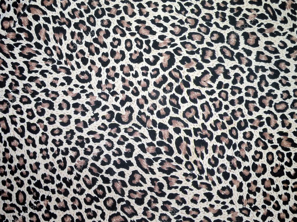 Leopard fabric — Stock Photo © Andriuss #2309347