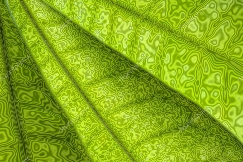 Leafy background Stock Photo by ©Tonygers 2492228
