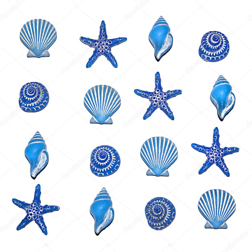 Blue Sea Shells Stock Photo by ©themightyshrub 2223678