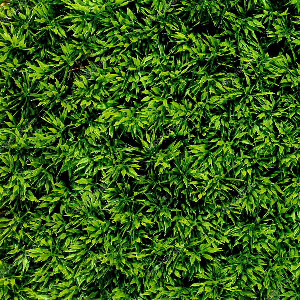 Fixed background with floating text and background. : r/css