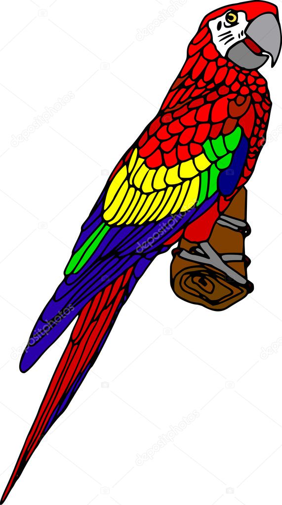 Ara 2 — Stock Vector © pavelmidi #2332598