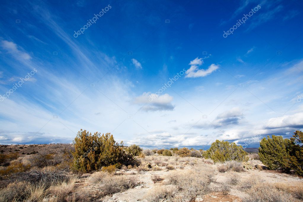 Desert high resolution | Arizona high desert — Stock Photo © alexeys ...